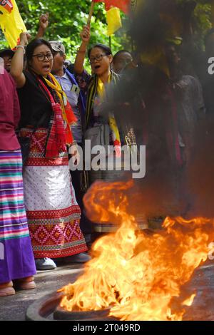 The ‘Tipraha Indigenous Progressive Regional Alliance (TIPRA ...