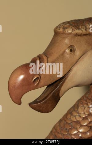 Extinct Dodo bird reconstruction Stock Photo - Alamy