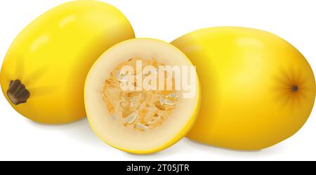 Whole and chopped Orangetti Spaghetti Squash. Winter squash. Cucurbita ...