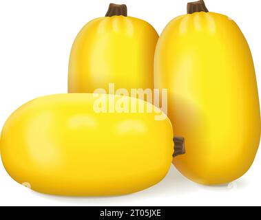 Orangetti Spaghetti Squash. Winter squash. Cucurbita pepo. Fruits and ...