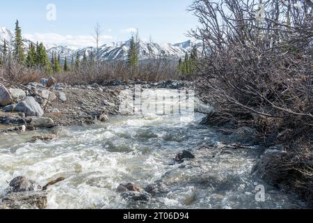 Savage River Tributary in Denali National Park in Alaska, USA Stock ...