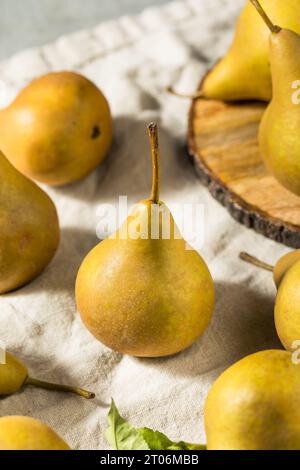 Raw Brown Organic Bosc Pears in a Bunch Stock Photo - Alamy