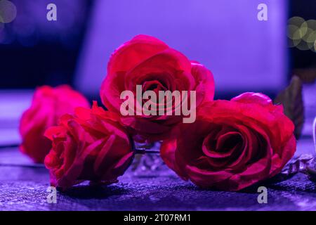 Stage setup for Maya Rudolph and Gretchen Lieberum performance with ...