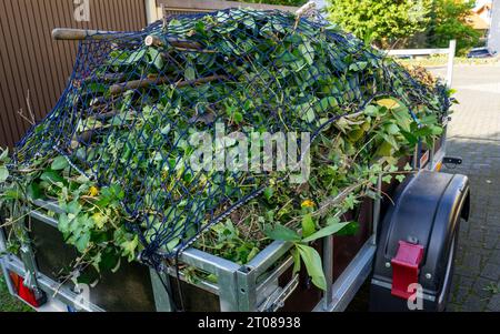 Trailer with garden waste in autumn Stock Photo - Alamy