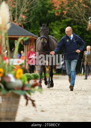William LEVETT of Australia with Rnh Tom Tom R during dressage at the ...