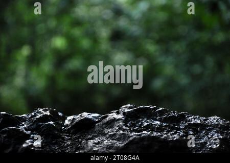 Wet limestone rock with blurry forest background in a rainy day Stock ...
