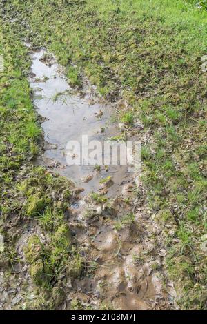 Autumnal post-harvested field waterlogged from autumn rains and bad ...