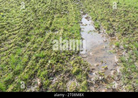 Autumnal post-harvested field waterlogged from autumn rains and bad ...
