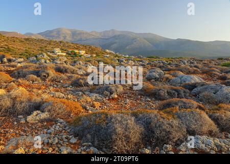 Late evening sunlight near Malia with the makhaira mountains in the ...