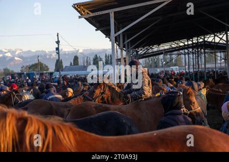 Weekly farm animals market in Karakol, Kyrgyzstan Stock Photo - Alamy