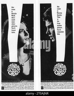 SPLENDOR IN THE GRASS, US poster, bottom from left: Natalie Wood ...