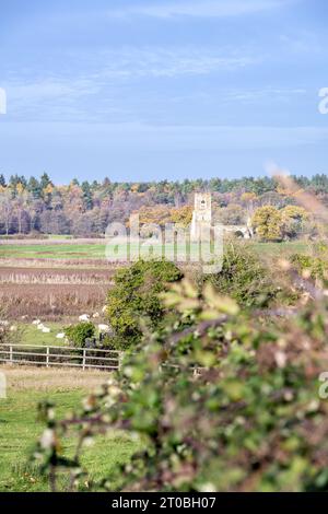View of Babingley Saint Felix derelict Norman church in autumn, Norfolk ...