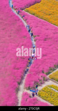Aerial photo shows tourists visiting the China Snow Town scenic area in ...