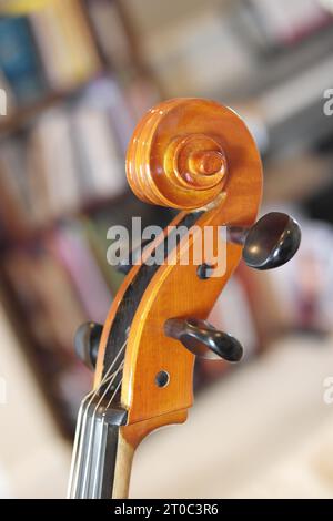 Close Up View of Cello Parts Stock Photo - Alamy