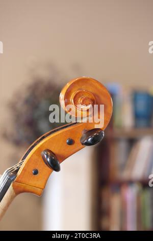 Close Up View of Cello Parts Stock Photo - Alamy