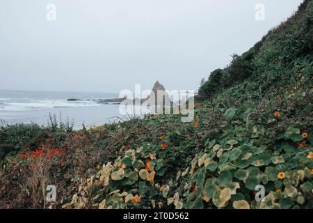 Foggy ocean view at Half Moon Bay in Black and white Stock Photo - Alamy