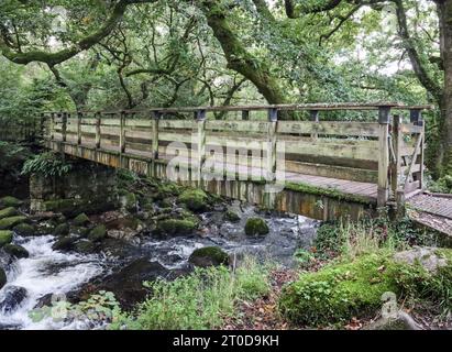 Footbridge over River plym, Dewerstone wood, Plymouth, Devon, England ...