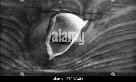 PITFALL (1962) -Original title: OTOSHIANA-, directed by HIROSHI ...