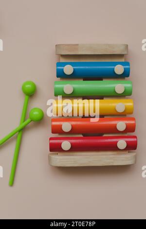 cymbals for children. Eco-friendly colored wooden educational toys ...