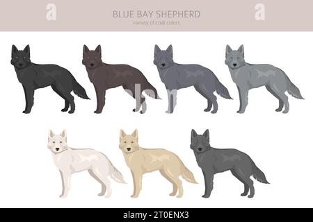 Blue Bay Shepherd clipart. Blue Shepherd wolf dog mix. Different coat ...
