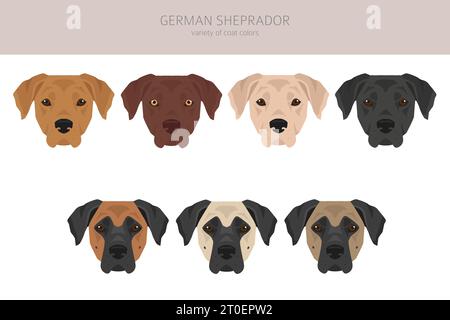 German Sheprador clipart. German Shepherd Labrador retriever mix ...