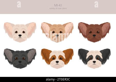 Mi-Ki dog clipart. All coat colors set. All dog breeds characteristics ...