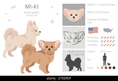 Mi-Ki dog clipart. All coat colors set. All dog breeds characteristics ...