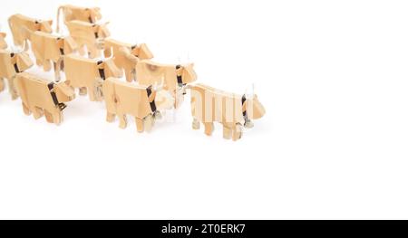 Cow in a group of cows forming a circle. Concept for winning ...