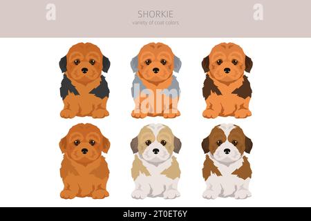 Shorkie clipart. Shih-Tzu Yorkshire terrier mix. Different coat colors ...