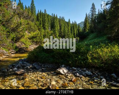 Hiking trail along the Spullerbach stream above Lech Stock Photo - Alamy