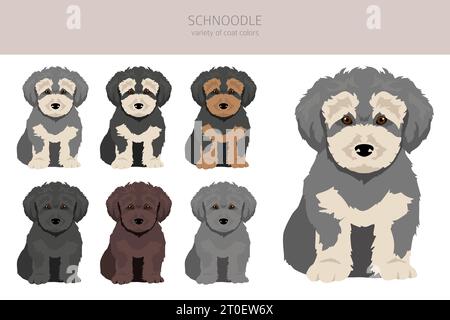 Schnoodle clipart. Schnauzer Poodle mix. Different coat colors set ...