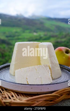 Spanish Afuega'l pitu unpasteurised cow's milk cheese and smoked cow ...