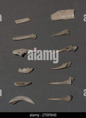 Neolithic Period. Temple Period (4000 to 2500 BC). Tarxien Temple ...