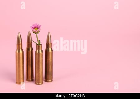 Bullets and beautiful chrysanthemum flower on pink background Stock ...