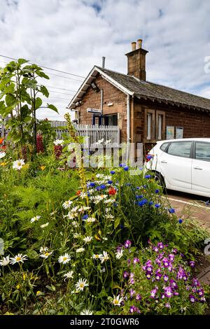 Cardross Railway station grounds transformed by volunteers into a ...