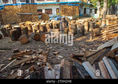 Cricket bat manufacturing in Kashmir, India Stock Photo - Alamy