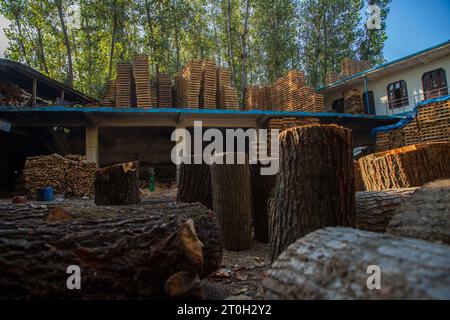 Cricket bat manufacturing in Kashmir, India Stock Photo - Alamy