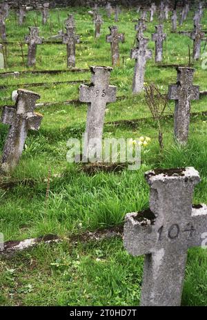 Dragoslavele, Arges County, Romania, 2001. Cemetery for the German ...
