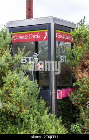 Modern Phone box surrounding with gorse with a note we are thinking ...