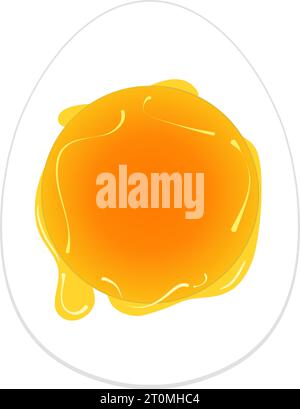 graphic illustrated Boil egg hard fully cooked yolk breakfast clipart gradient design Stock ...