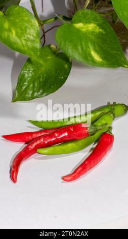 Red Chili Elegance: Fiery Photography on a White Canvas- Spice of Life ...