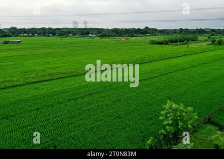 Kushtia, Bangladesh - October 04, 2023: The bird's-eye view of the ...