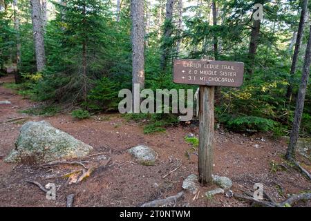 A sign marks the intersection of Nicerson Ledge Trail with Carter Ledge ...