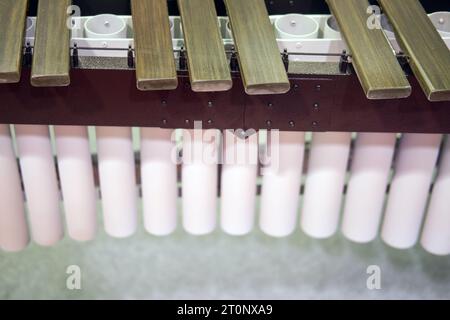 Vibraphone is a percussive musical instrument with a certain pitch ...