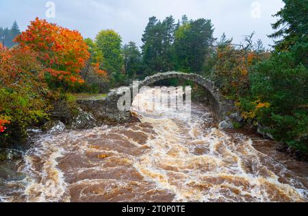 The River Dulnain flows under the Old Pack Horse Bridge in Carrbridge ...
