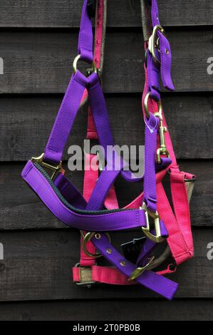 Horse collars on the wall Stock Photo - Alamy