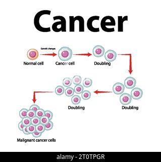 Understanding the development and progression of cancer cells through ...