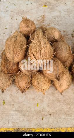 Coconuts for sale by the road side in Navelim village in South Goa in ...