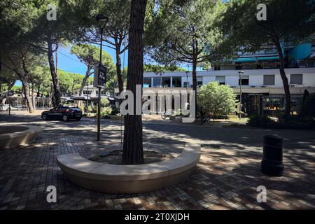 Boulevard arched by maritime pines and bordered by buildings in an ...