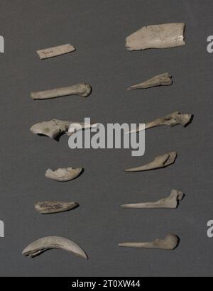 Neolithic Period. Temple Period (4000 to 2500 BC).. Possible animal ...